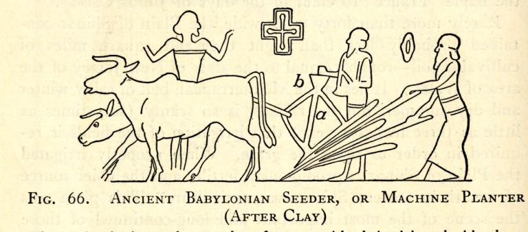 Cattle and Grain - Mesopotamian Gods & Kings